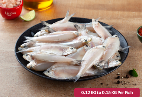 Buy White Sardine Online | Whole Small White Sardine Fish - Licious